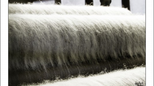 Filature de Niaux | Une laine 100% Locale